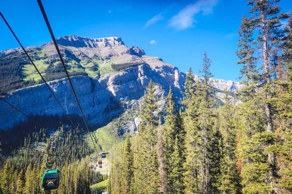 Sunshine Meadows Gondola & Hike in Banff
