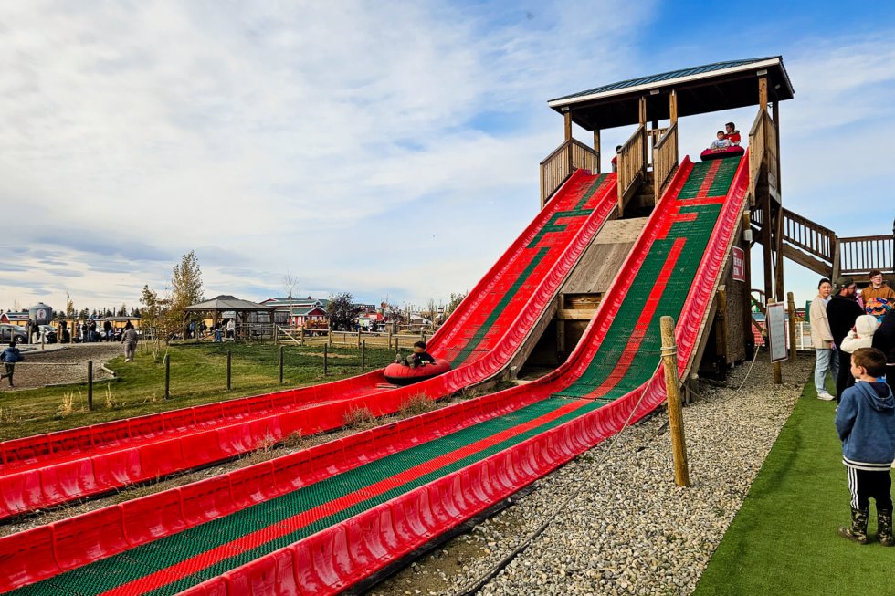 A Family Day Out at Calgary Farmyard A Family Day Out at Calgary Farmyard